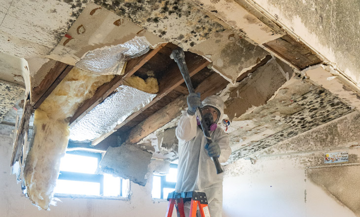 Mold Remediation Cleaning - Green Air Services FL - 24/7 Mold ...